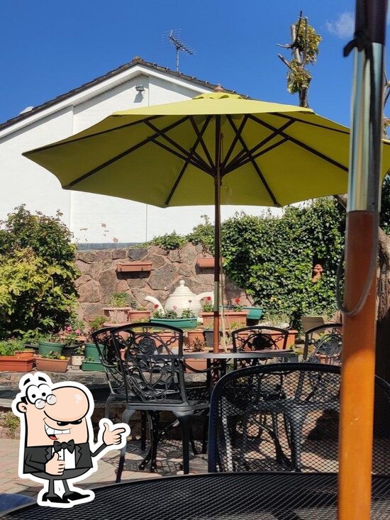 Menu at Canal Tea Rooms & Garden cafe, Tiverton