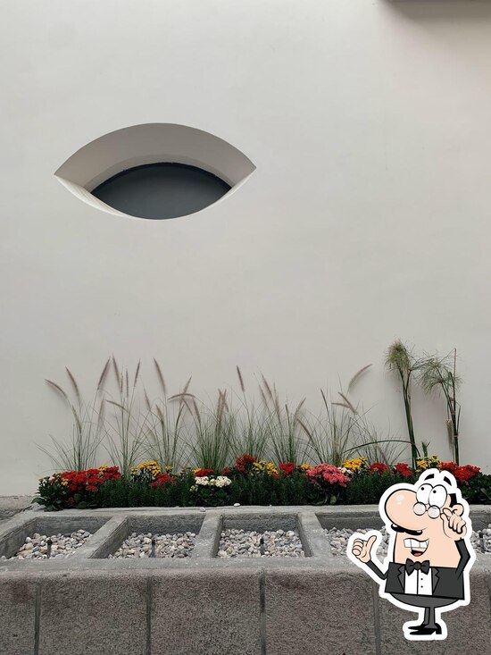CALIXTO. Café con Sentido, Heroica Puebla de Zaragoza - Menú del ...