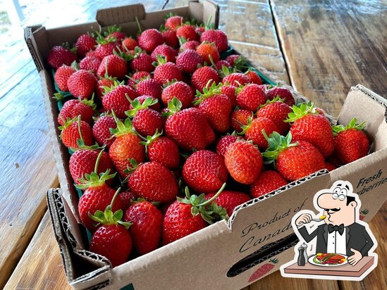 Cider Keg Farm Market in Vittoria - Restaurant reviews