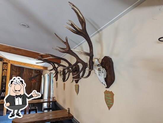 The Hard Antler, Haast - Restaurant menu, prices and reviews