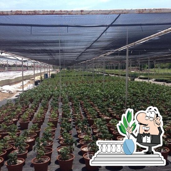 Nature's Herb Farm in San Antonio