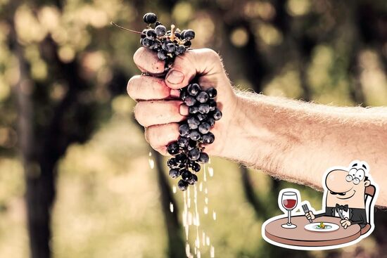 Ferdinand winery, Kojsko - Restaurant reviews