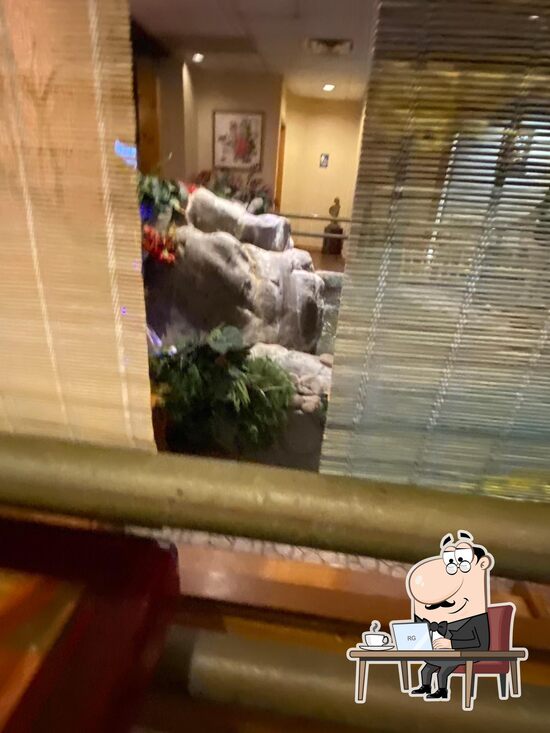 Shogun, Longview - Restaurant menu, prices and reviews