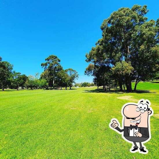 Dragon on the green in North Ryde - Restaurant reviews