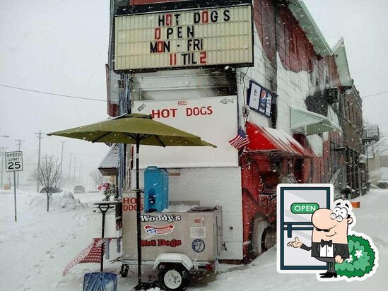 Woody's Hot Dogs in Saginaw - Restaurant menu and reviews