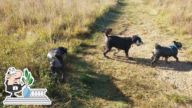 Menu at Walkhaven Dog Park restaurant, Roodepoort
