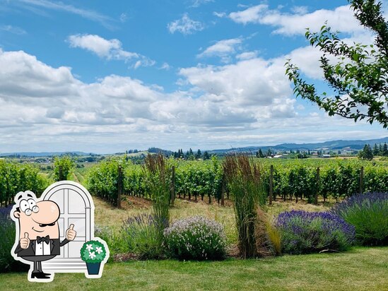 Atticus Wine in Yamhill