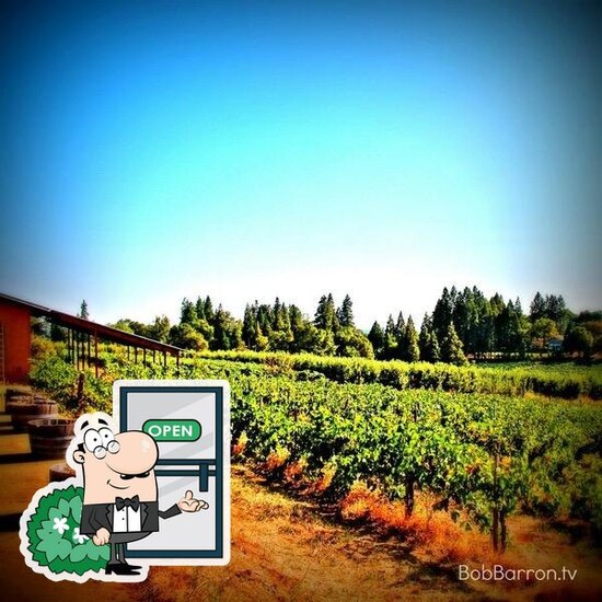 Madrona Vineyards in Camino - Restaurant menu and reviews
