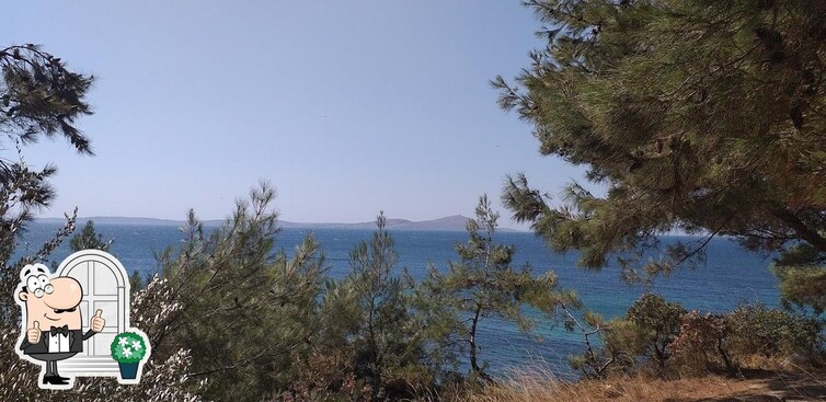 Taşkapı Sahil Restaurant, Turkey - Restaurant reviews