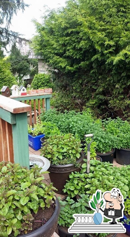 Backyard Mint restaurant, Coquitlam