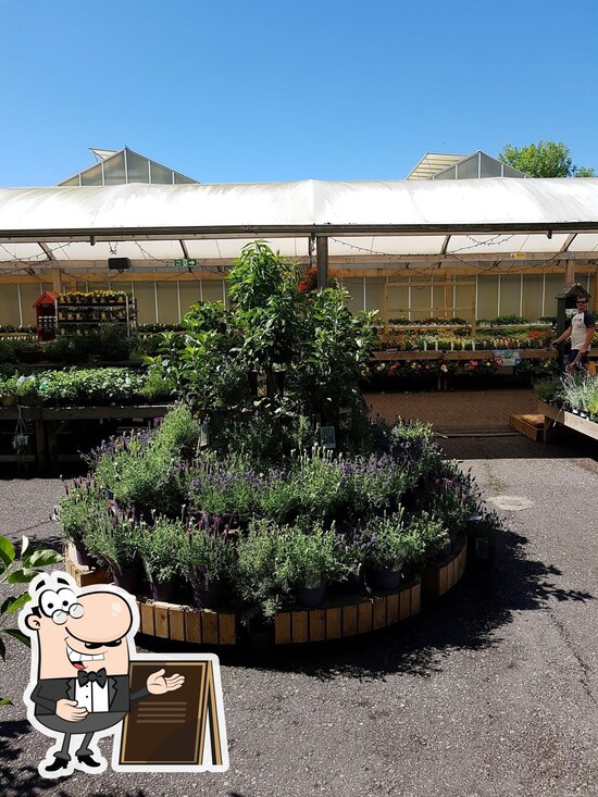 Lower Morden Garden Centre in Morden - Restaurant reviews