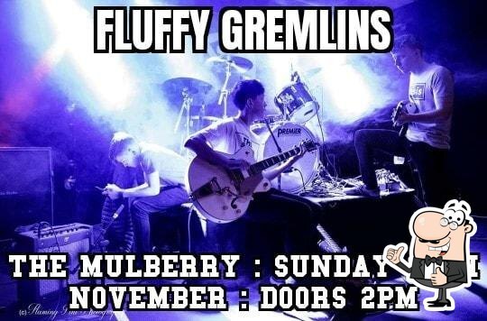 The Mulberry Bar and Venue in Sheffield - Restaurant reviews