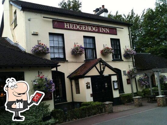 Menu at Hedgehog pub & bar, Crawley