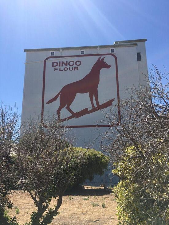 Menu at Dingo Flour sign, Fremantle