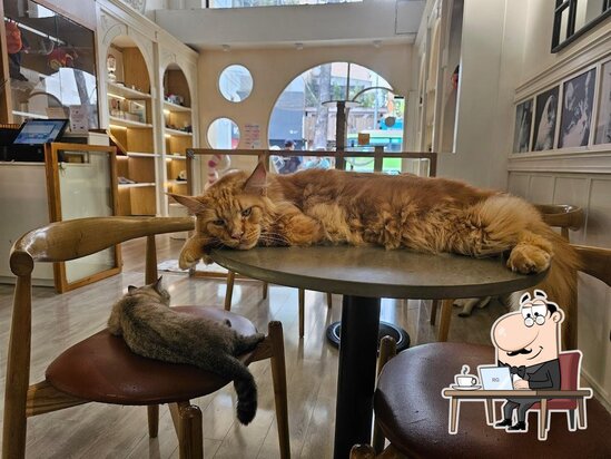 CATFE, Ho Chi Minh City - Restaurant menu, prices and reviews