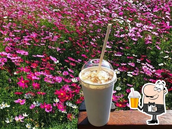 Tamarind Coffee, Khlong Si - Opiniones del restaurante
