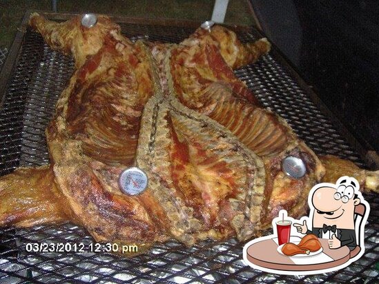 Pot Belly Pigs in Newport