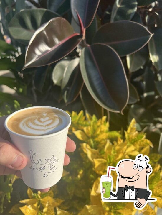 Zap Cat Espresso Bar in Atlantic Beach - Restaurant reviews