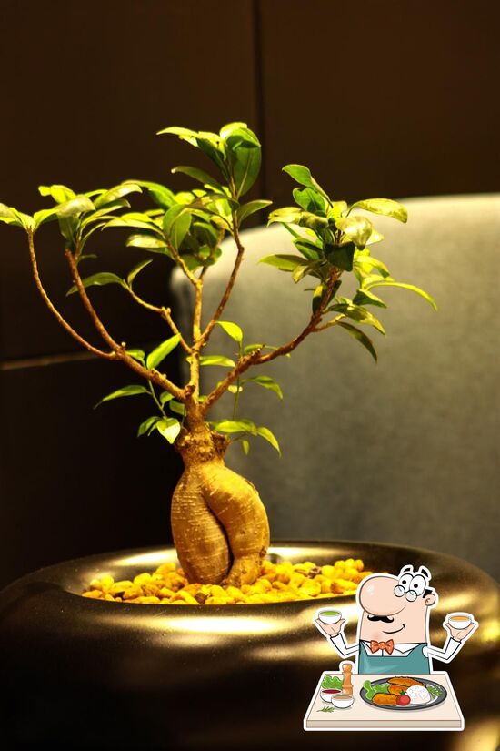 The Ghibli Bar & Pool Terrace, Cape Town - Restaurant menu and reviews