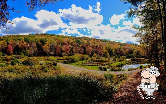 The Ponds Restaurant in East Meredith - Restaurant menu and reviews