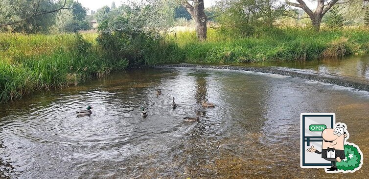 Riverside Tea Room Eynsford in Eynsford - Restaurant menu and reviews