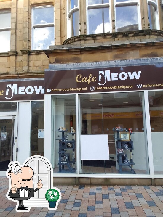 Menu at Cafe Meow, Blackpool