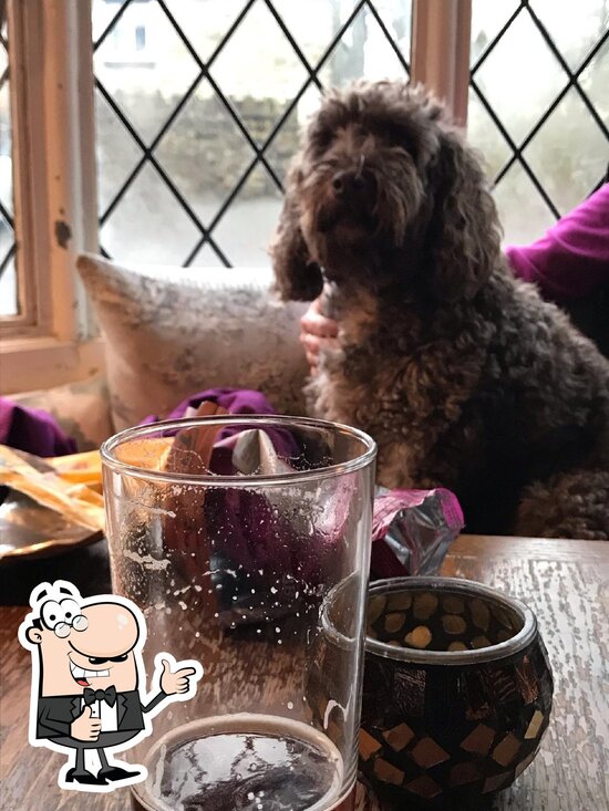 Menu at The Bush Inn pub & bar, Cowbridge