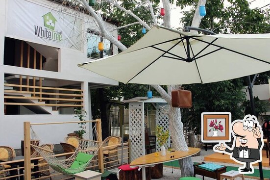 Menu at The White Tree cafe, Prishtina