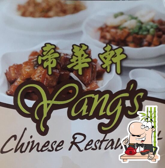 Menu at yang's chinese restaurant, Thurles