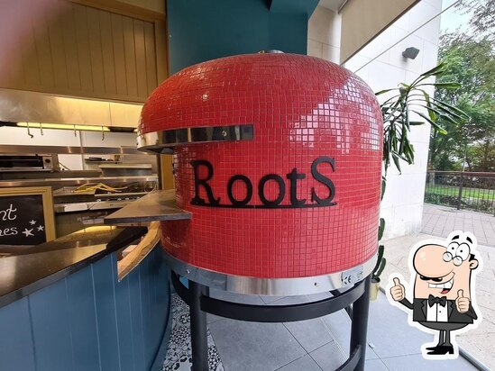 Menu at Roots Café & Bistro, Newtownsmith Galway City restaurant, Galway