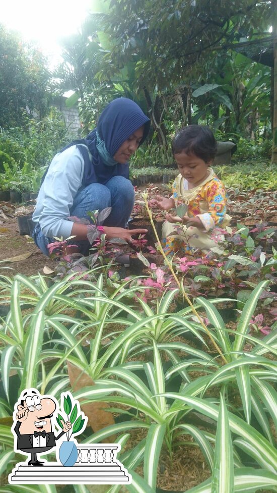 Saung Riung Kelapa Aneka Rasa cafe, Tegalrejo