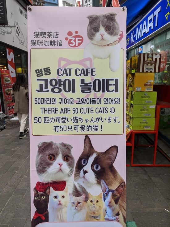 Menu at Jikhwa Dakgalbi restaurant, Seoul