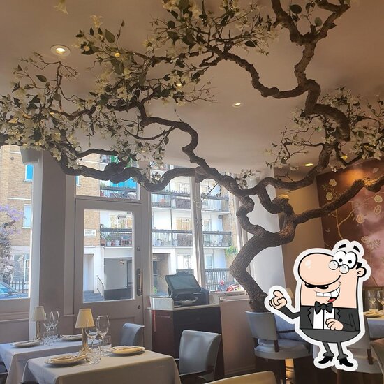 AOK Kitchen, London - Restaurant menu, prices and reviews