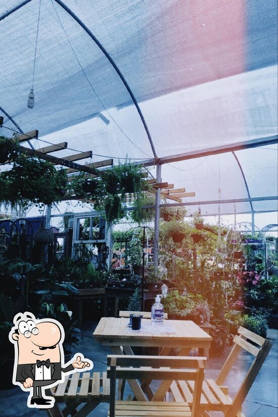 Flora Café, Curitiba - Restaurant reviews