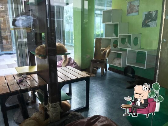 Cat Cafe PH, Cebu City - Restaurant menu, prices and reviews