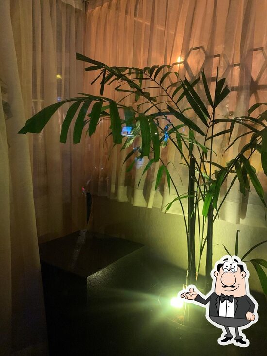 NEVERMIND - BAR & SOCIAL, Bengaluru - Restaurant menu, prices and reviews