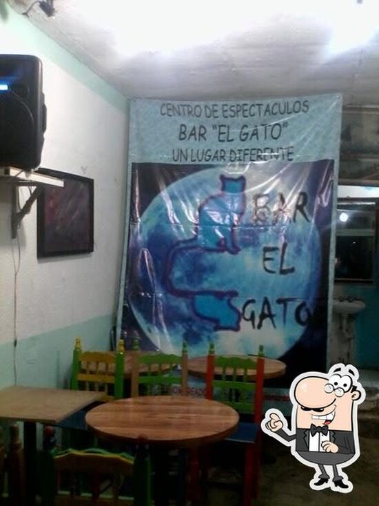 bar el gato, Tenango del Aire - Restaurant reviews