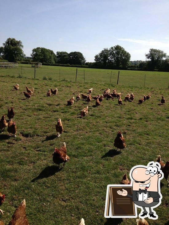 Kings Farm Shop, Wendover - Restaurant menu, prices and reviews