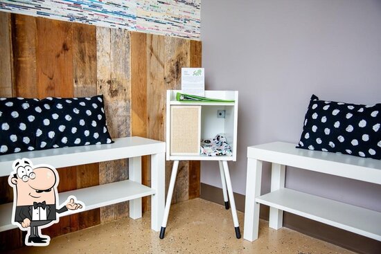 Tree House Cat Cafe (Reserve your spot today!), Chicago - Carta del ...