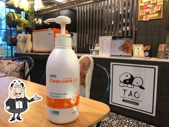 TAO Cafe & Community เต่าคาเฟ่ เชียงใหม่ Hooman Boardgame house, Chiang ...