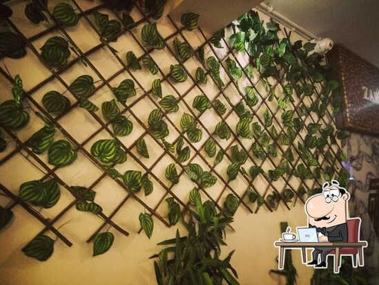 Zarza Club and Terrace Jaipur, Jaipur - Restaurant reviews