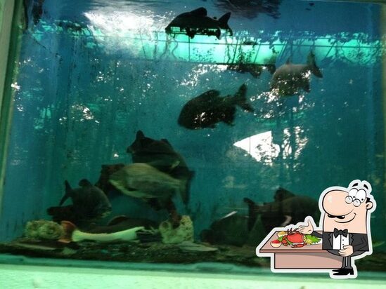 Oceanarium Restaurant, Cebú - Menú del restaurante, precios y reseñas