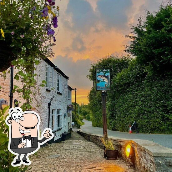 Sea Trout Inn in Staverton - Restaurant reviews