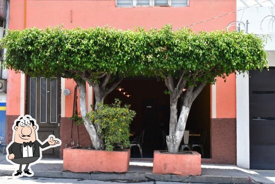 Laurel restaurant, Leon - Restaurant reviews