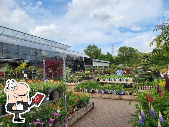 Menu at Melbicks Garden Centre cafe, Coleshill