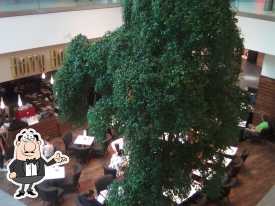 Harry Holzer cafe, Graz, Lazarettgürtel 55 - Restaurantbewertungen