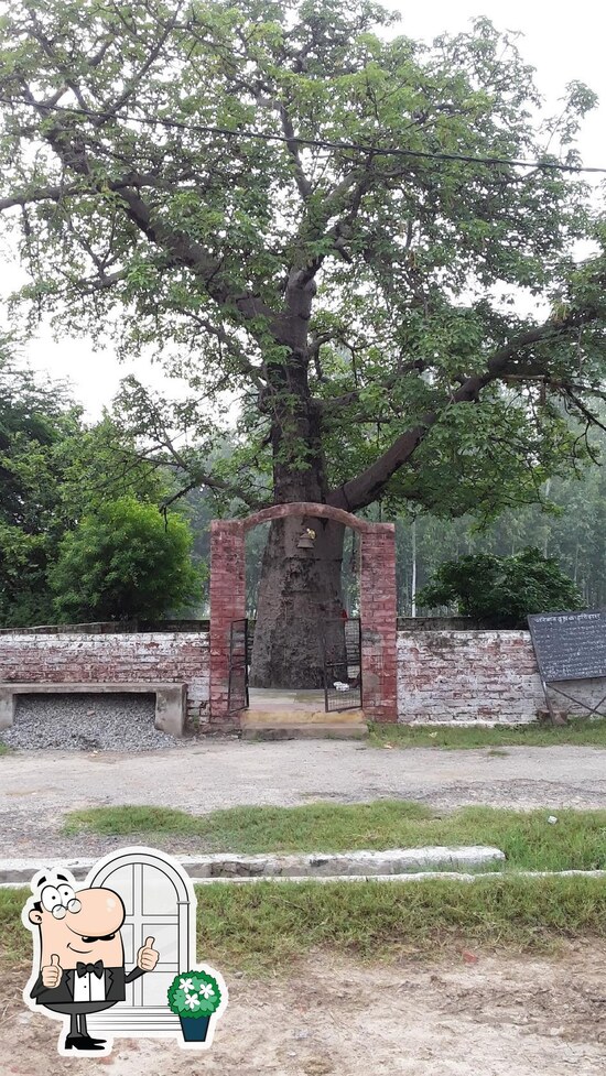 Parijaat Tree Kayasthan tola Bachhrawan, Bachhrawan - Restaurant reviews