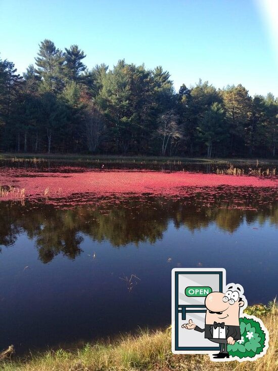 Ocean Spray Cranberries in Carver - Restaurant reviews
