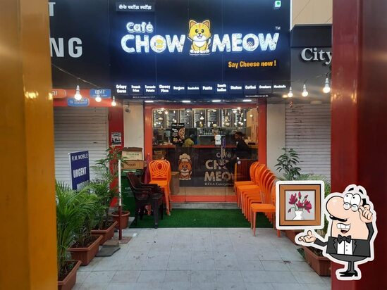 Cafe Chow Meow, Pune - Restaurant menu and reviews