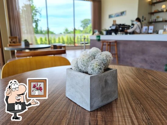 noah coffee cruise cafe, Non Thai - Restaurant reviews